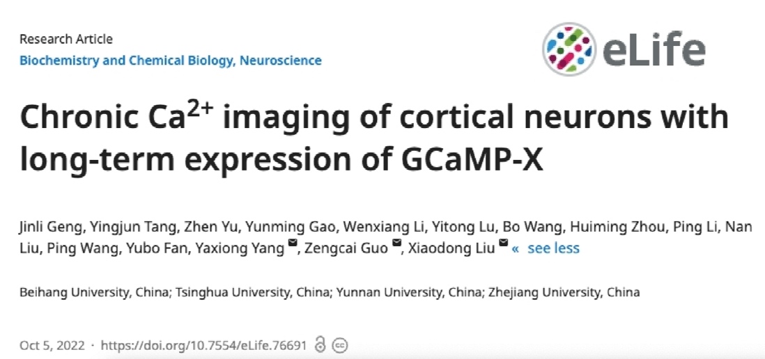 北航刘晓冬课题组联合樊瑜波团队及合作者在《eLife》发表钙成像研究新进展-科学技术研究院
